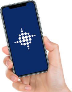 Planet Sim – Planet Smart City IN